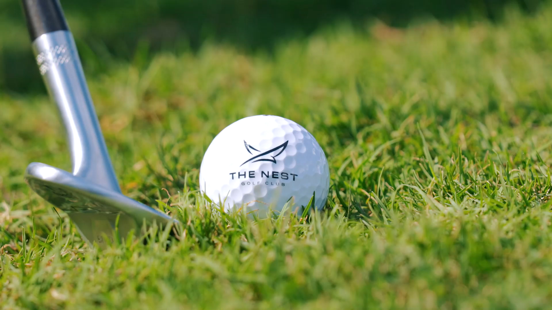 The Nest - The Nest Golf Club