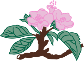 Restaurant - Rutland Country Club